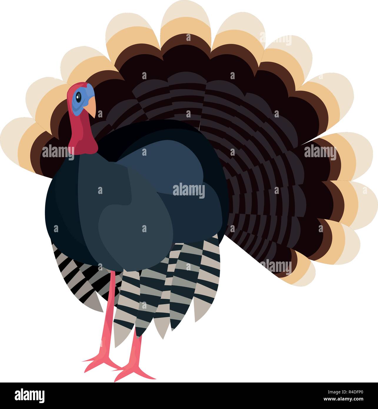 thanksgiving cute animal turkey background vector illustration Stock ...