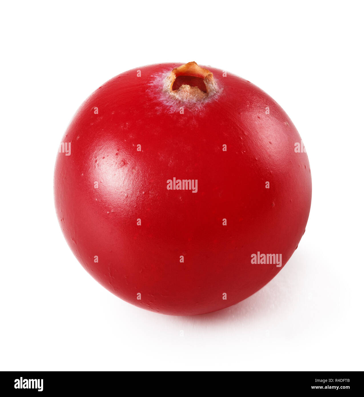 Cranberry isolated on white background Stock Photo - Alamy