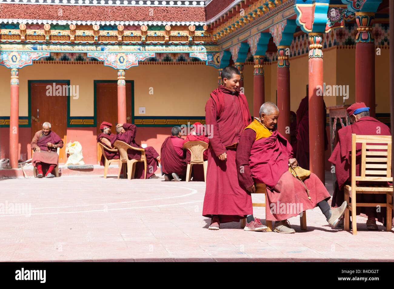 Buddhist monks in Chemrey Gompa, Ladakh, Jammu and Kashmir, India Stock ...