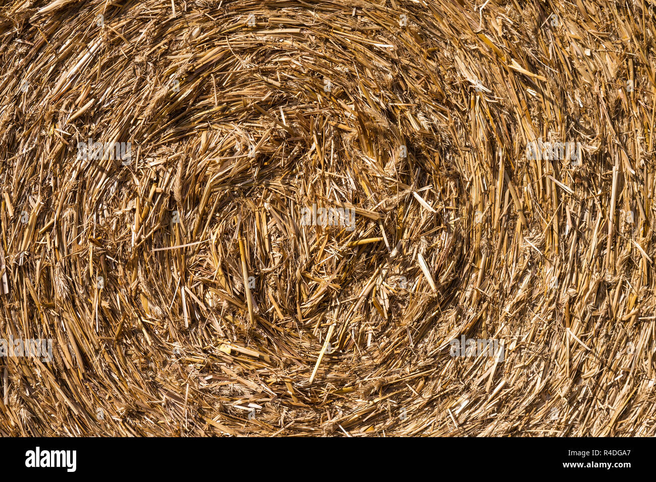 straw bale texture Stock Photo - Alamy
