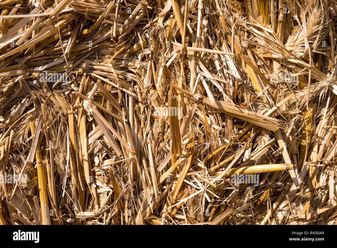 straw bale texture Stock Photo - Alamy