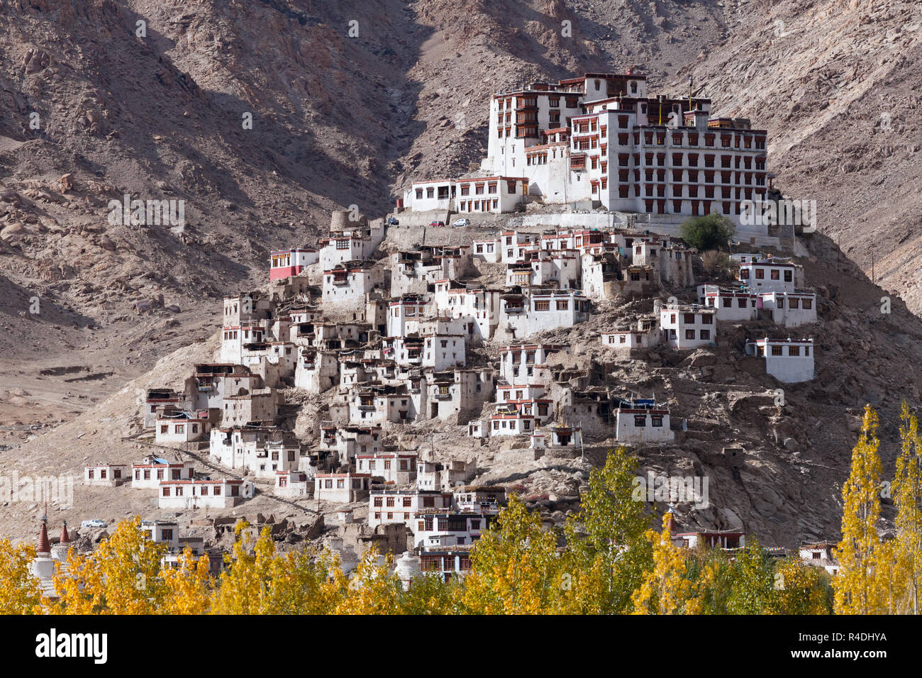 Chemrey Gompa in Ladakh, Jammu and Kashmir, India Stock Photo - Alamy