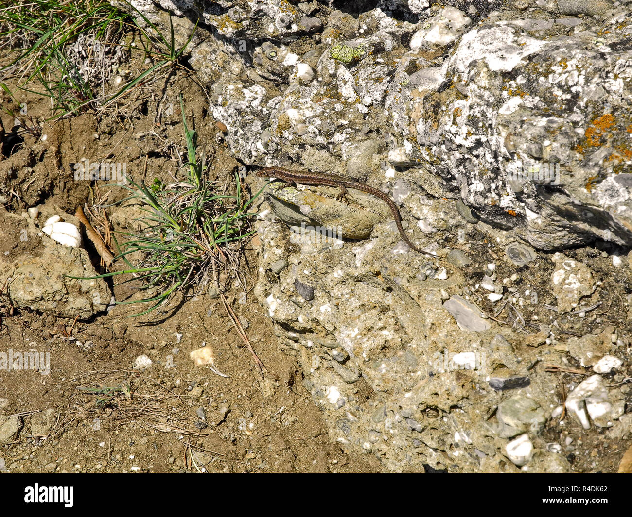 Imperceptible hi-res stock photography and images - Alamy