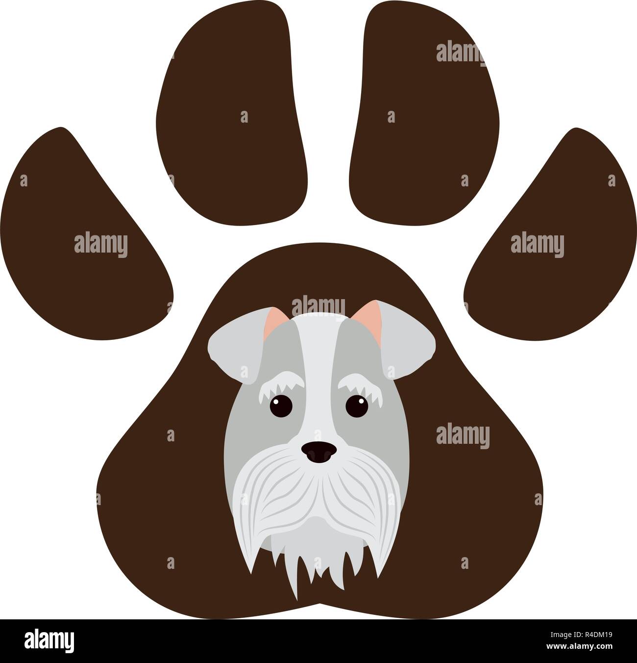 cute miniature schnauzer in the paw print vector illustration design ...