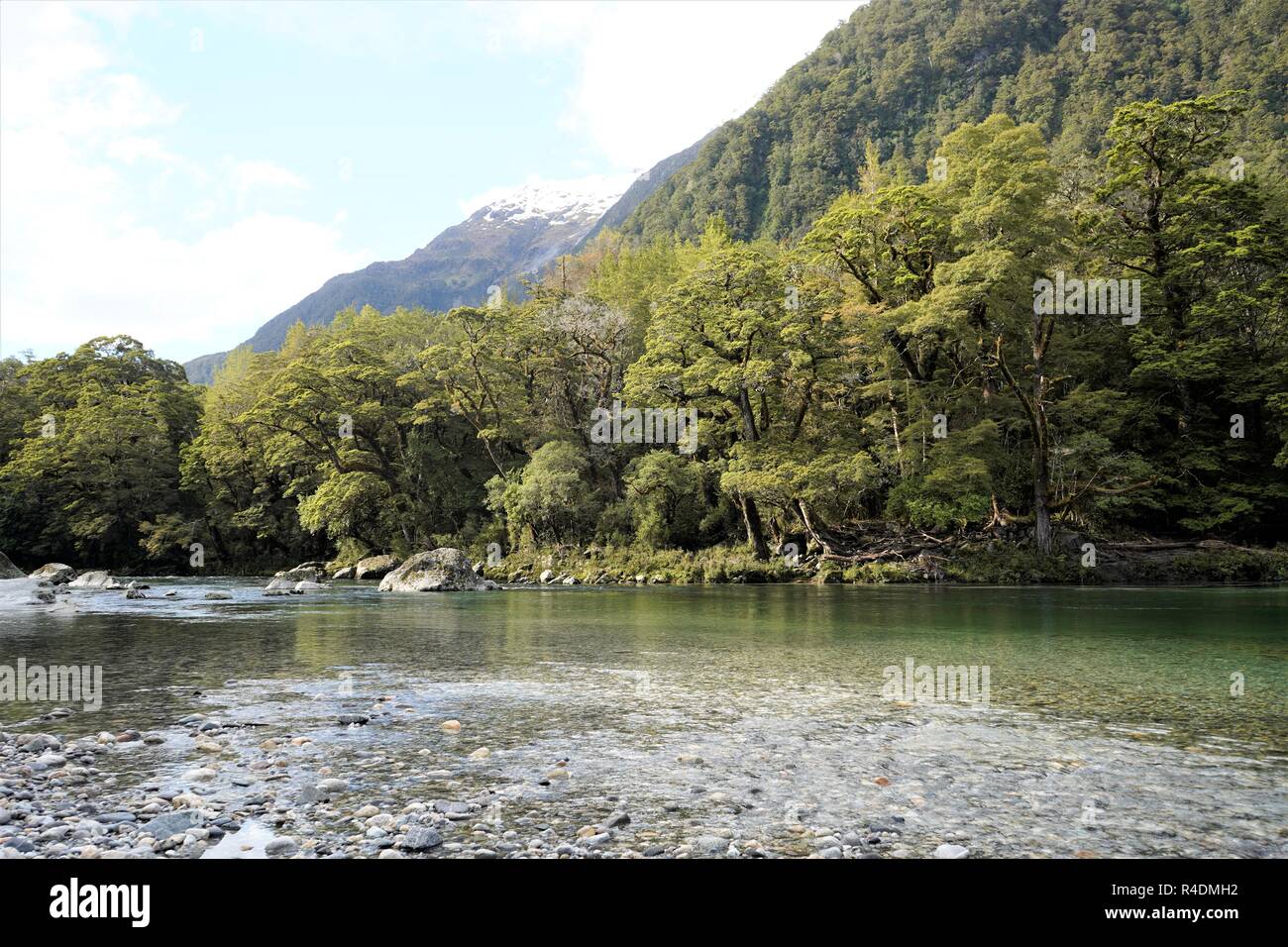 Hiking in new zealand hi-res stock photography and images - Alamy