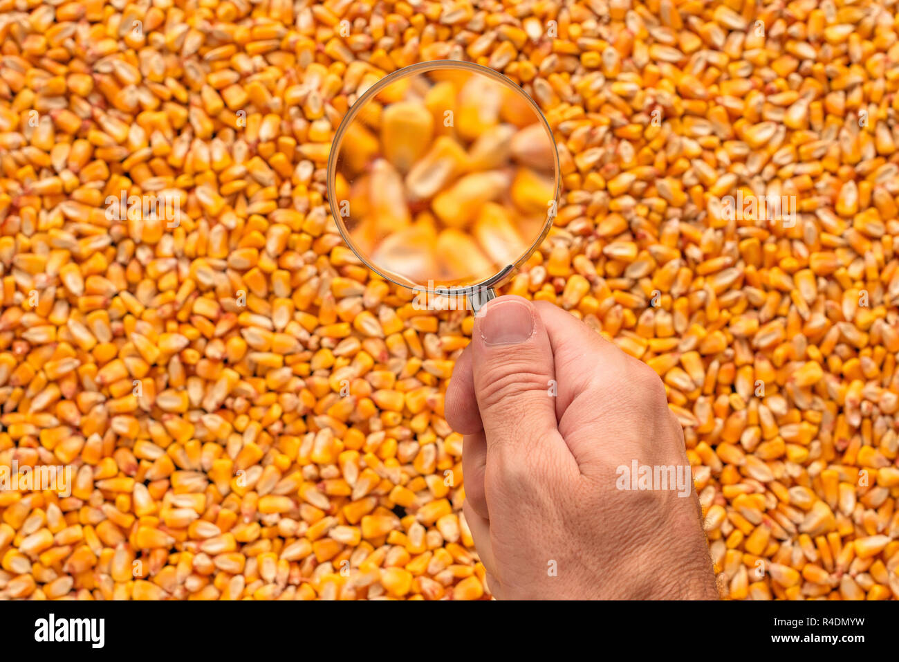 Enlarge magnifying glass hi-res stock photography and images - Alamy