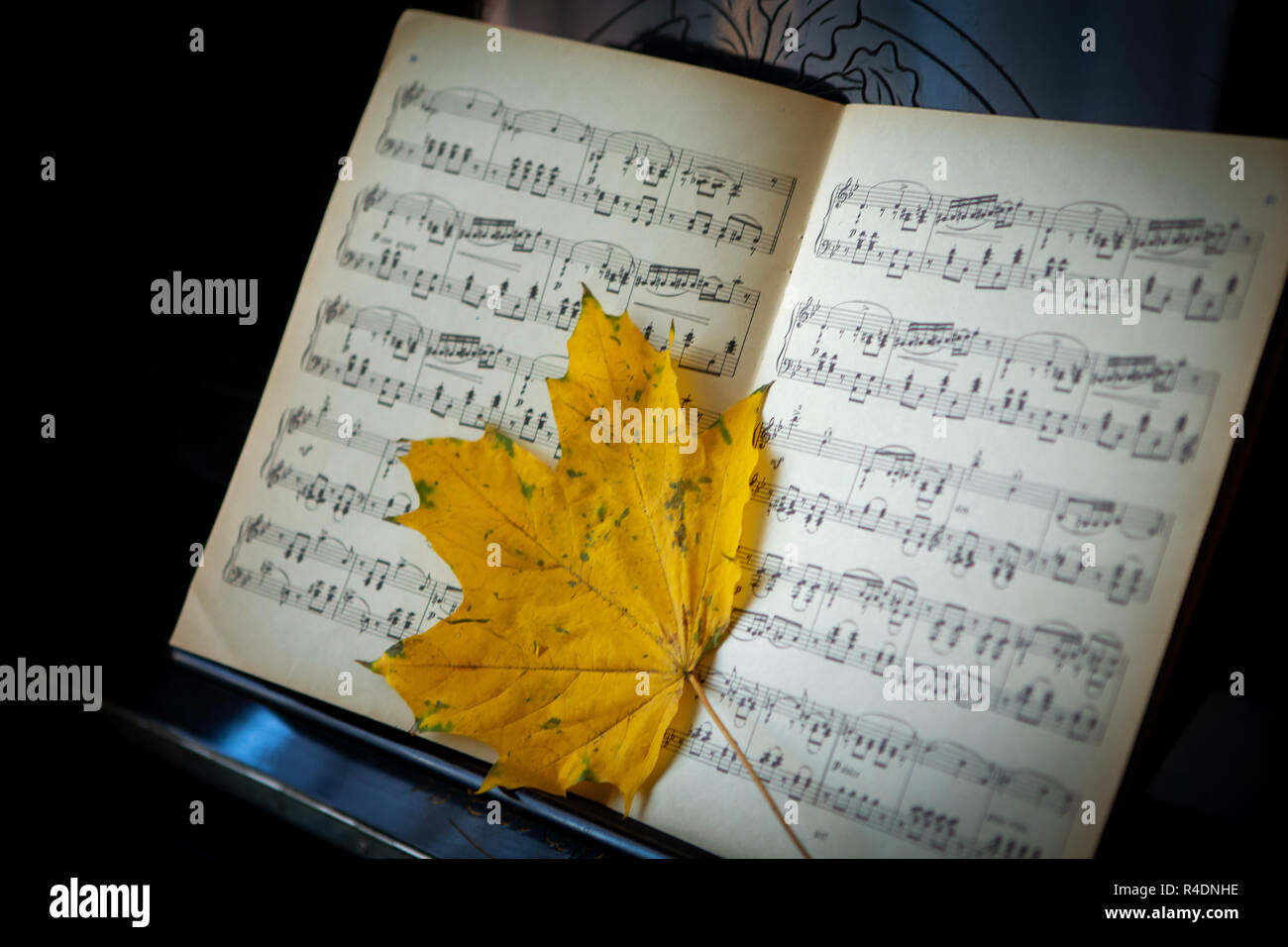 The notes lie on a black piano. White keys. Close-up Stock Photo - Alamy