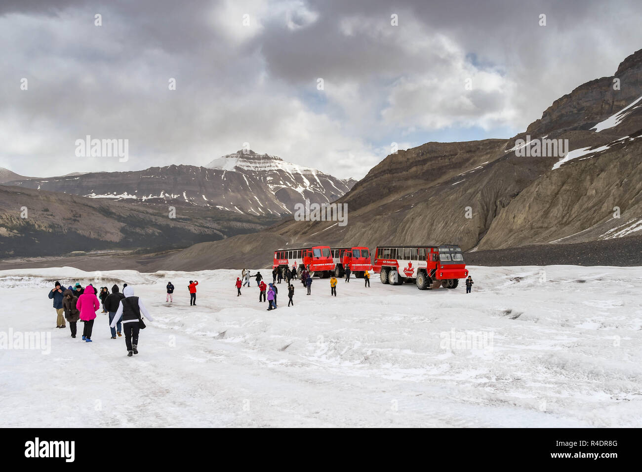 Columbia icefield hi-res stock photography and images - Alamy