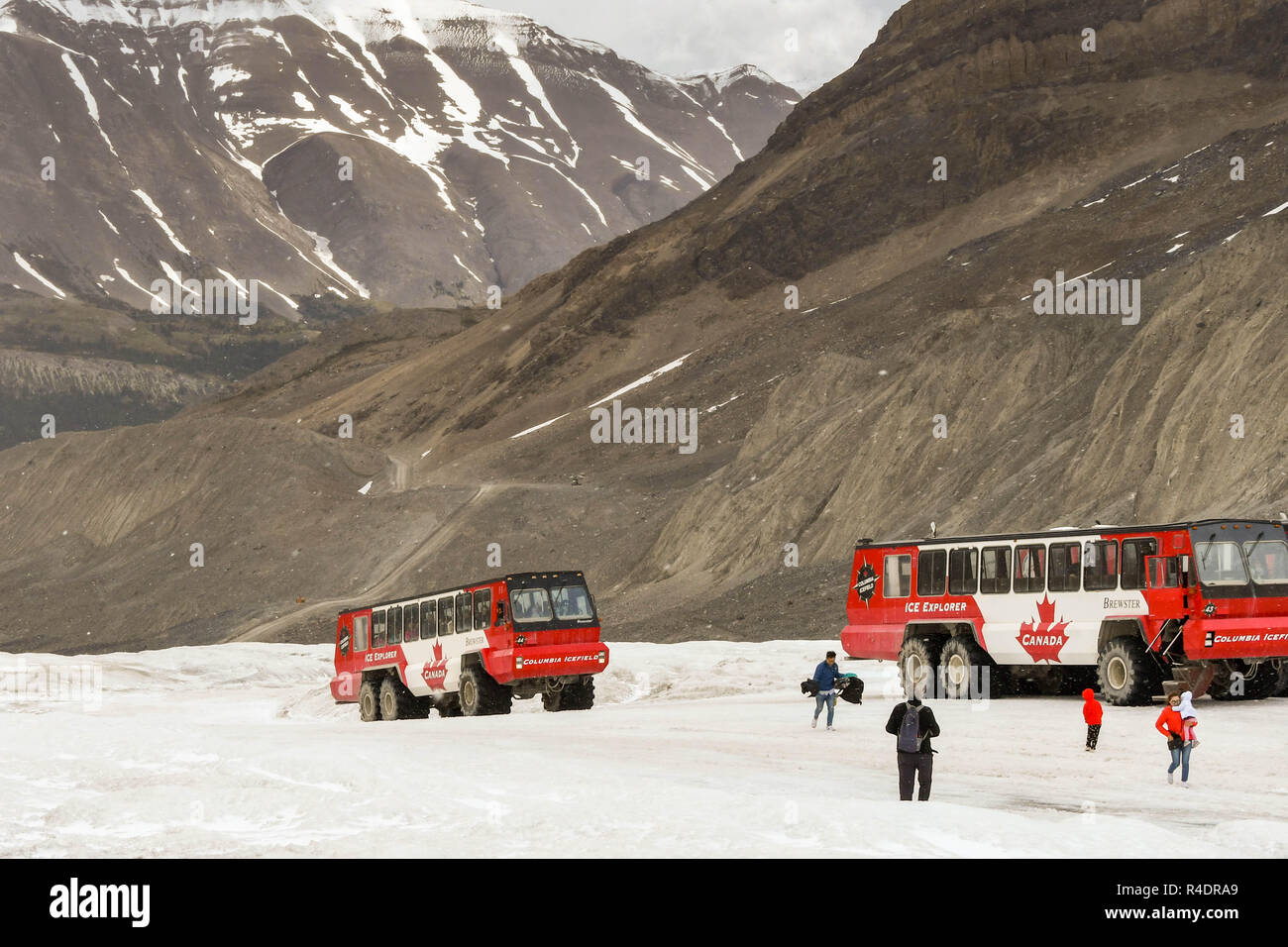 COLUMBIA ICEFIELD, ALBERTA, CANADA - JUNE 2018: Massive purpose-built ...