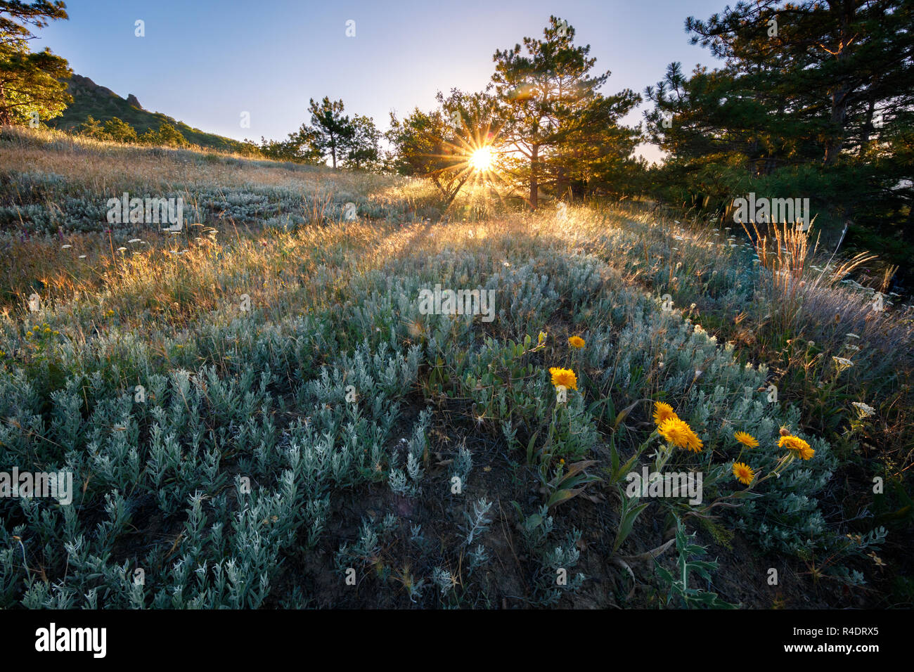 Real field hi-res stock photography and images - Alamy