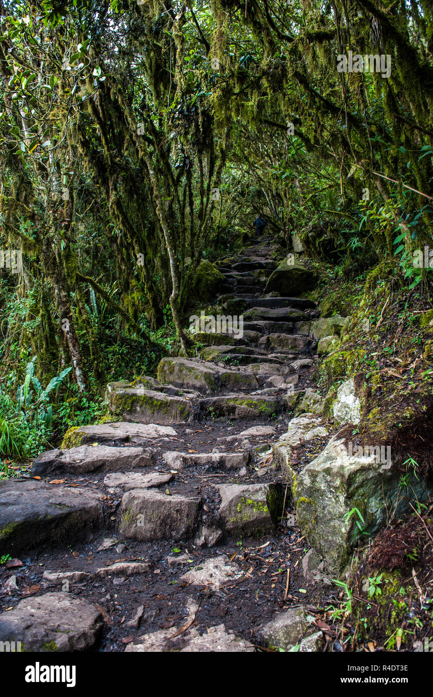 Stairs on the way to the the Machu Picchu Inca citadel in Peru Stock ...