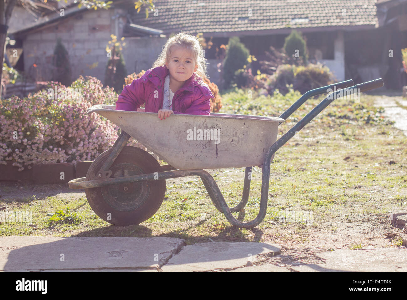 Happy little girl sitting in wheelbarrow Stock Photo - Alamy