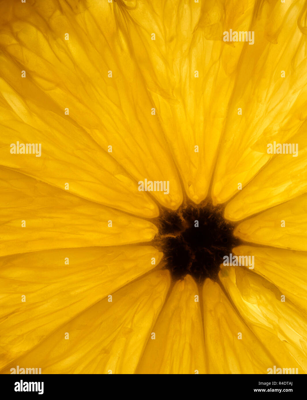 orange cross section Stock Photo - Alamy