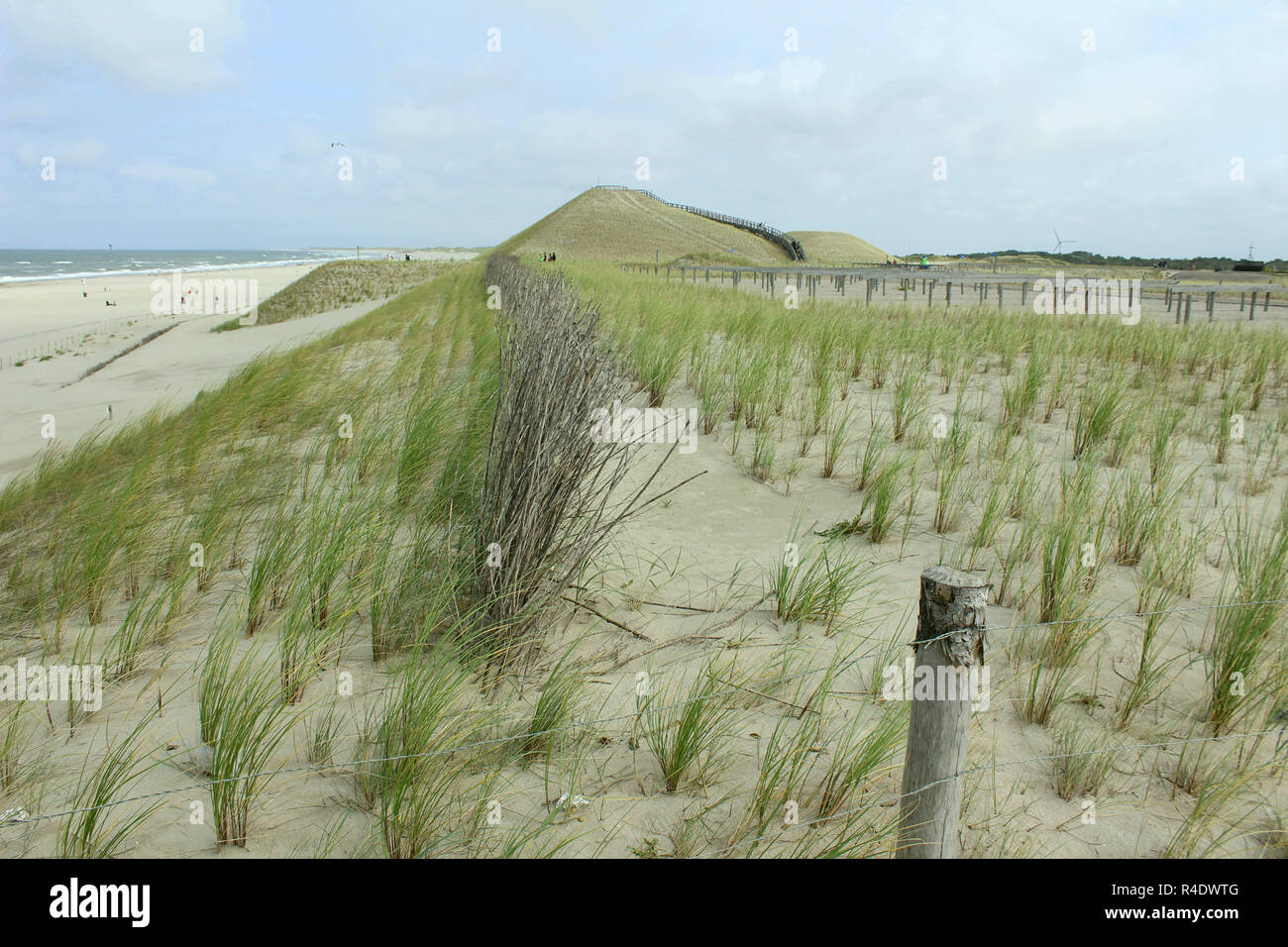 petten in the netherlands Stock Photo - Alamy