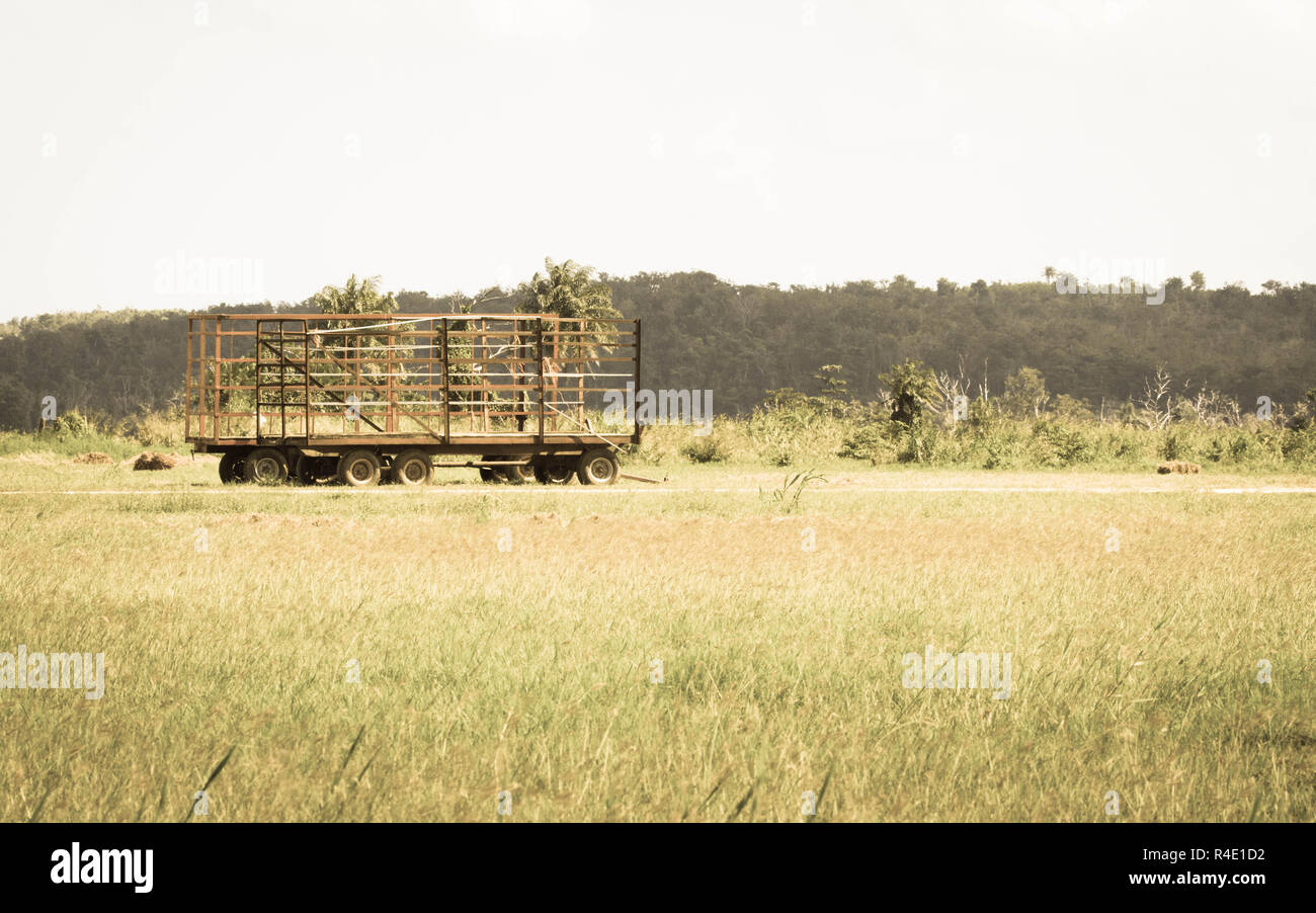 An empty cattle farm Stock Photo - Alamy