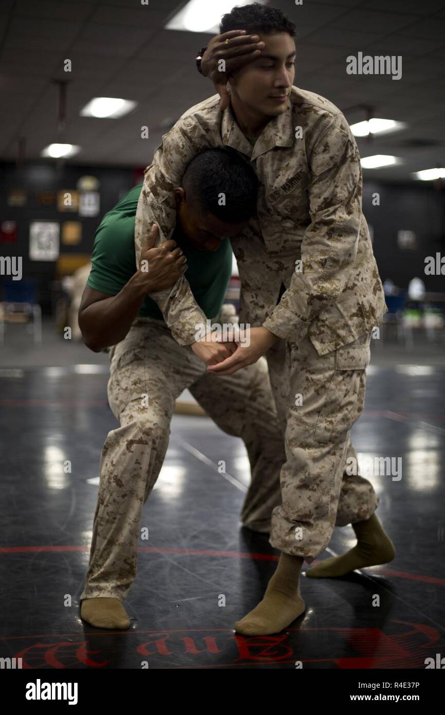 U.S. Marine Corps Sgt. Vincent L. Walters, left, with Instructional ...
