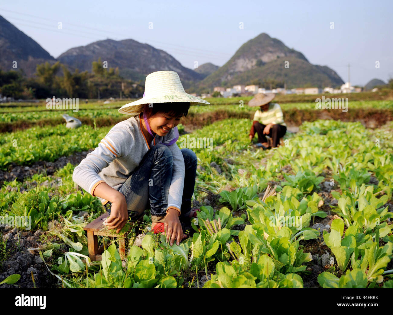 Harsh weed hi-res stock photography and images - Alamy