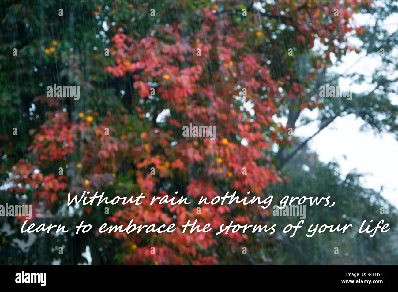Rainy weather background with text - "Without rain nothing grows, learn ...