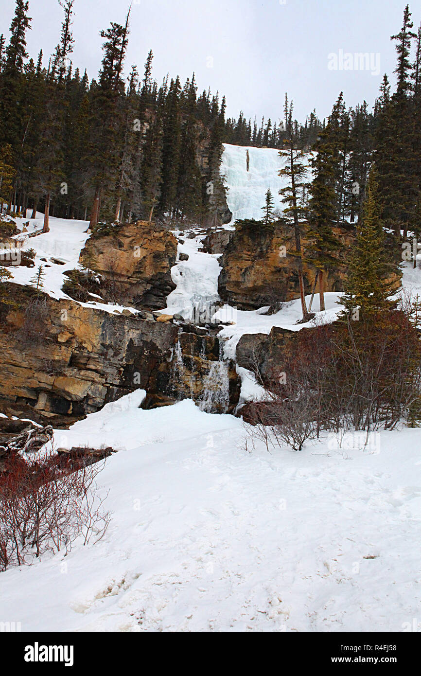 Tangle Falls is a delicate multi-tiered cascade in Jasper National Park ...