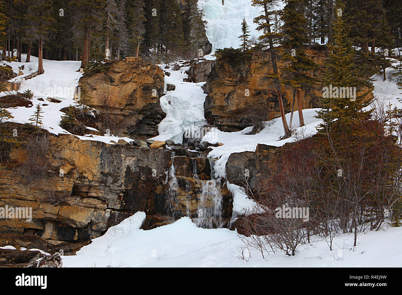 Tangle Falls is a delicate multi-tiered cascade in Jasper National Park ...