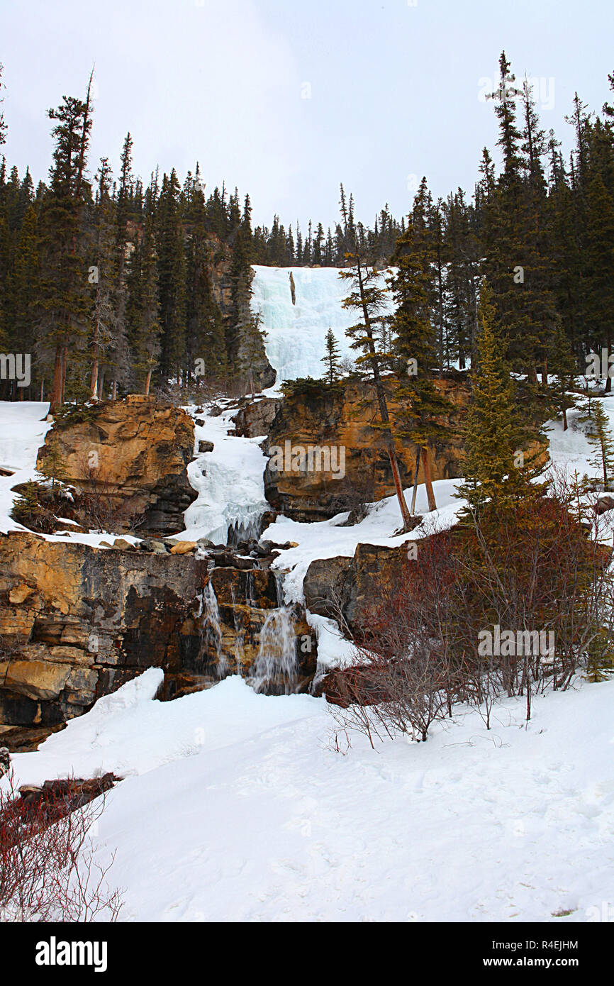 Tangle Falls is a delicate multi-tiered cascade in Jasper National Park ...