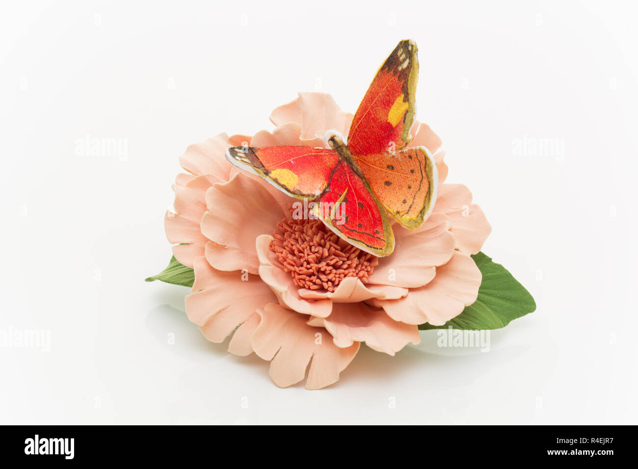 Butterfly sitting on flower Stock Photo - Alamy
