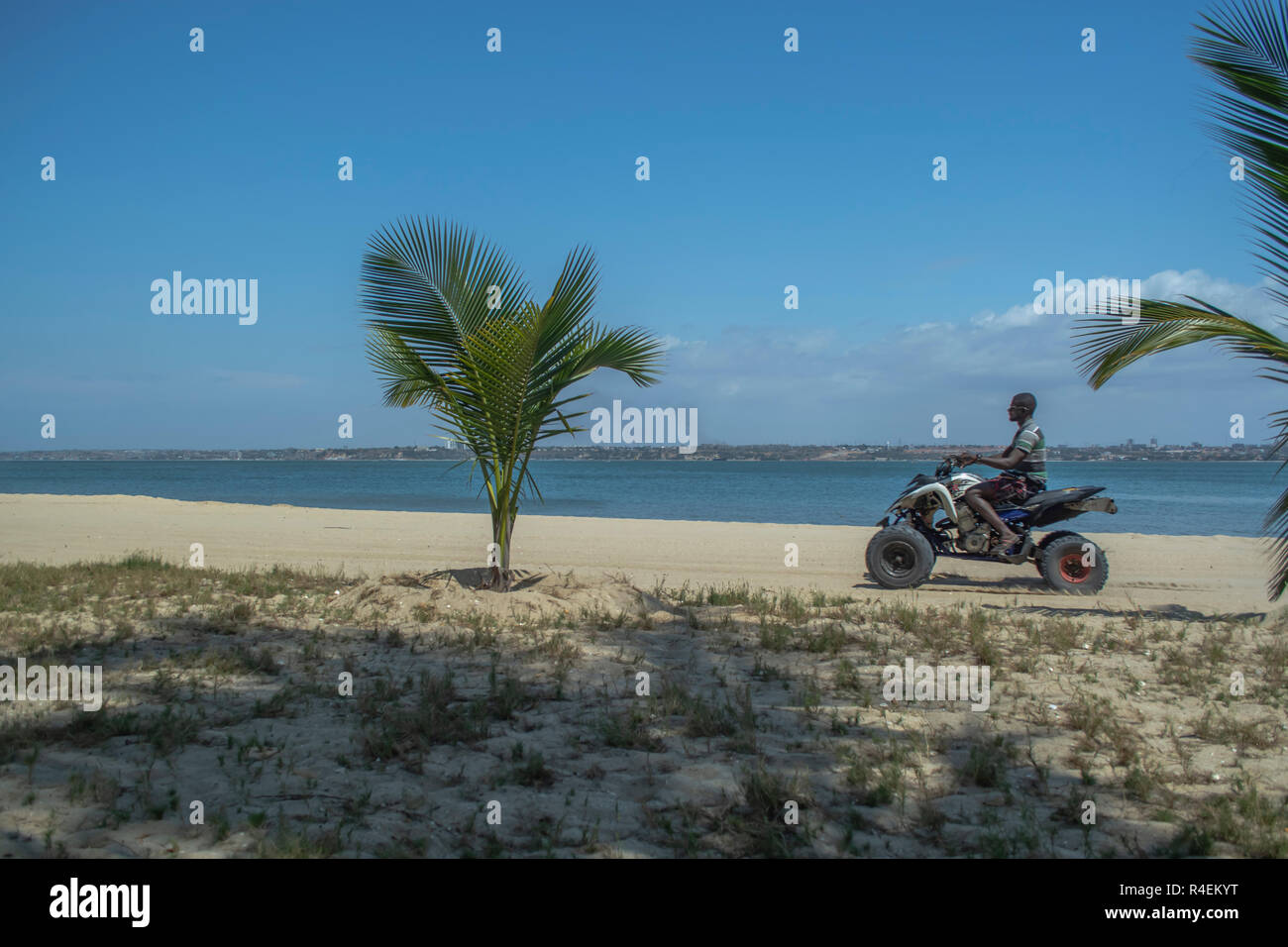 Luanda/Angola - 11 11 2018: View of beach with palm tree and man riding ...