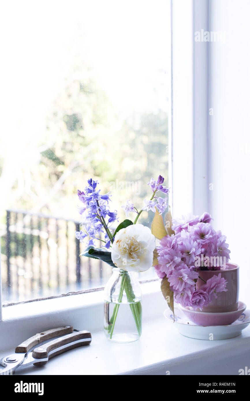 Spring Flowers on a window sill next to secateurs Stock Photo - Alamy