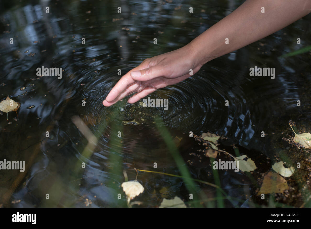 Human hand dipping hi-res stock photography and images - Alamy
