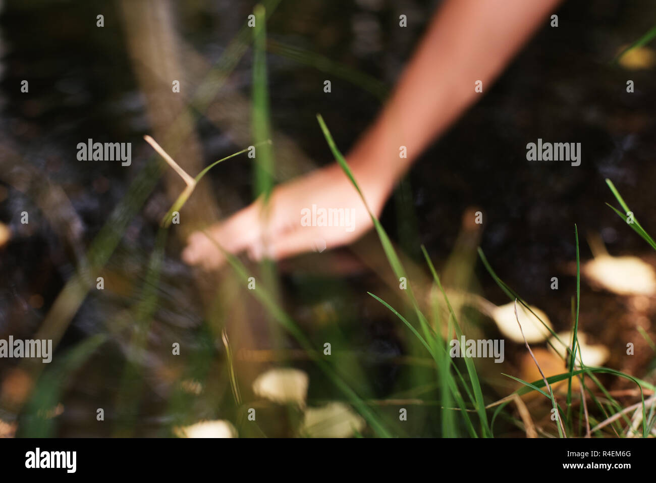 Human hand dipping hi-res stock photography and images - Alamy