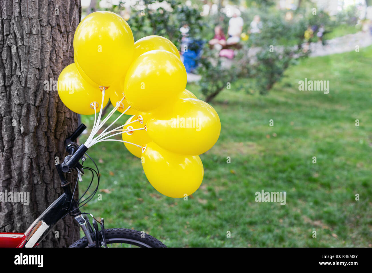 Bunch of bright yellow balloons with bicycle near big tree in city park ...