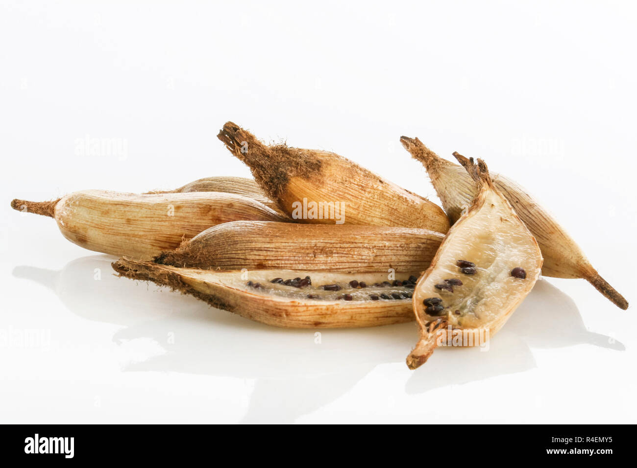 Exotic tropical fruit called piÃ±uela (Bromelia pinguin Stock Photo - Alamy