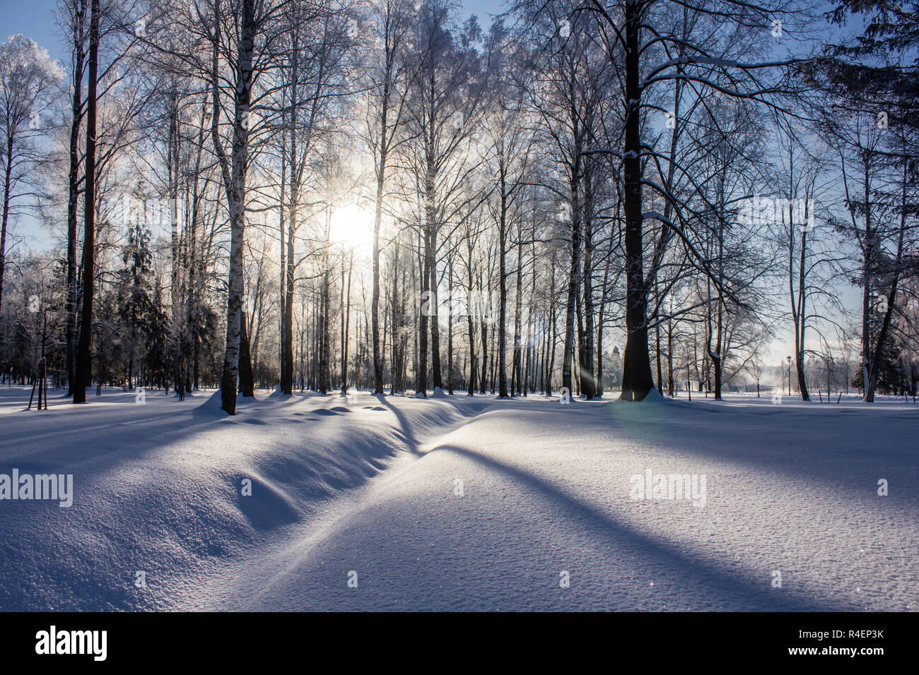 Winter landscape in clear weather. Morning bright sun. Snow plays shine ...