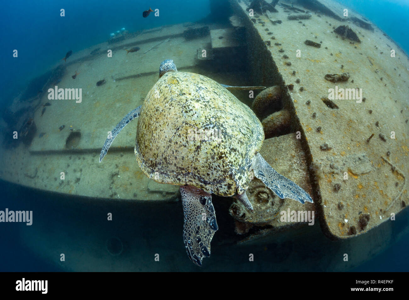 Fangming wreck hi-res stock photography and images - Alamy