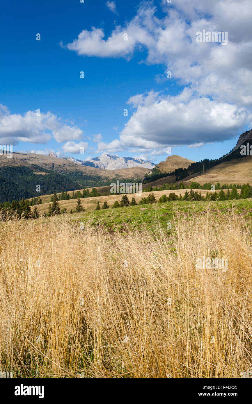 Italian Alps panorama Stock Photo - Alamy
