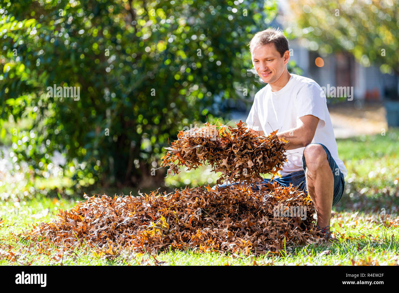 Collecting leaves grass hi-res stock photography and images - Alamy