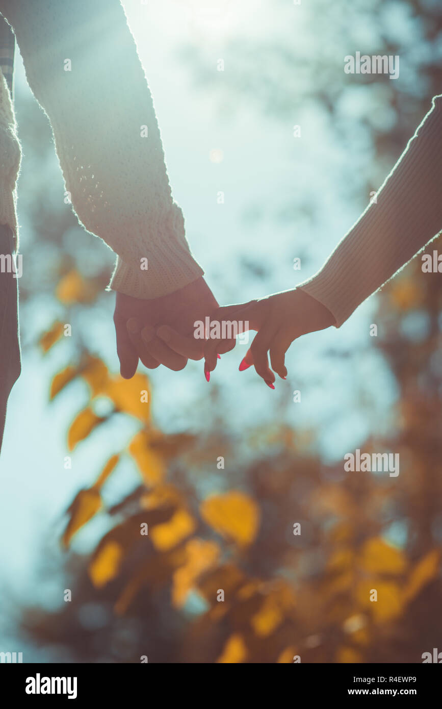 Couple in love is in nature and they are holding hands on a beautiful ...