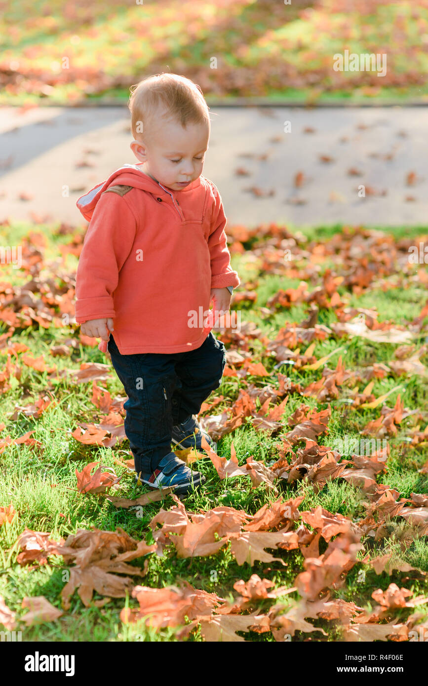 Baby's first steps on the leaves in the park on sunny autumn day Stock ...