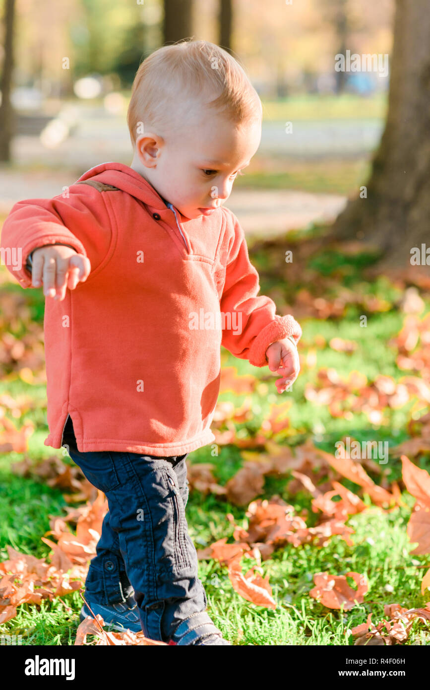 Toddler taking first steps in a park Stock Photo - Alamy