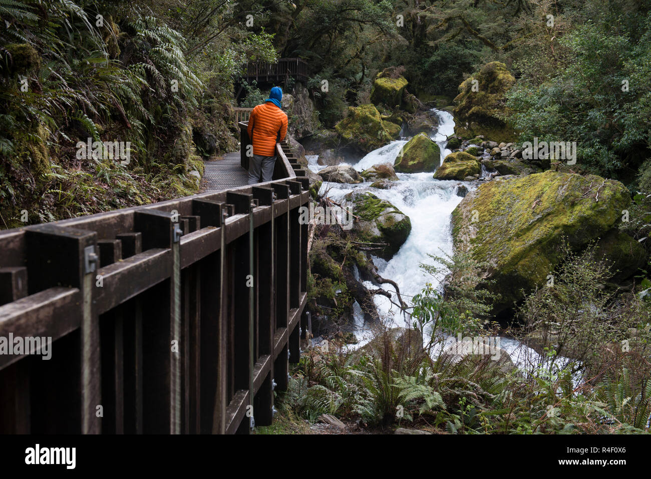 Looking at the waterfall Stock Photo - Alamy