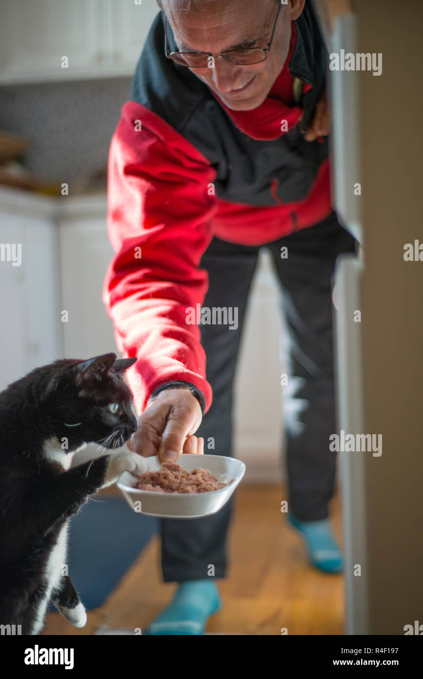Man feeding his cat Stock Photo - Alamy