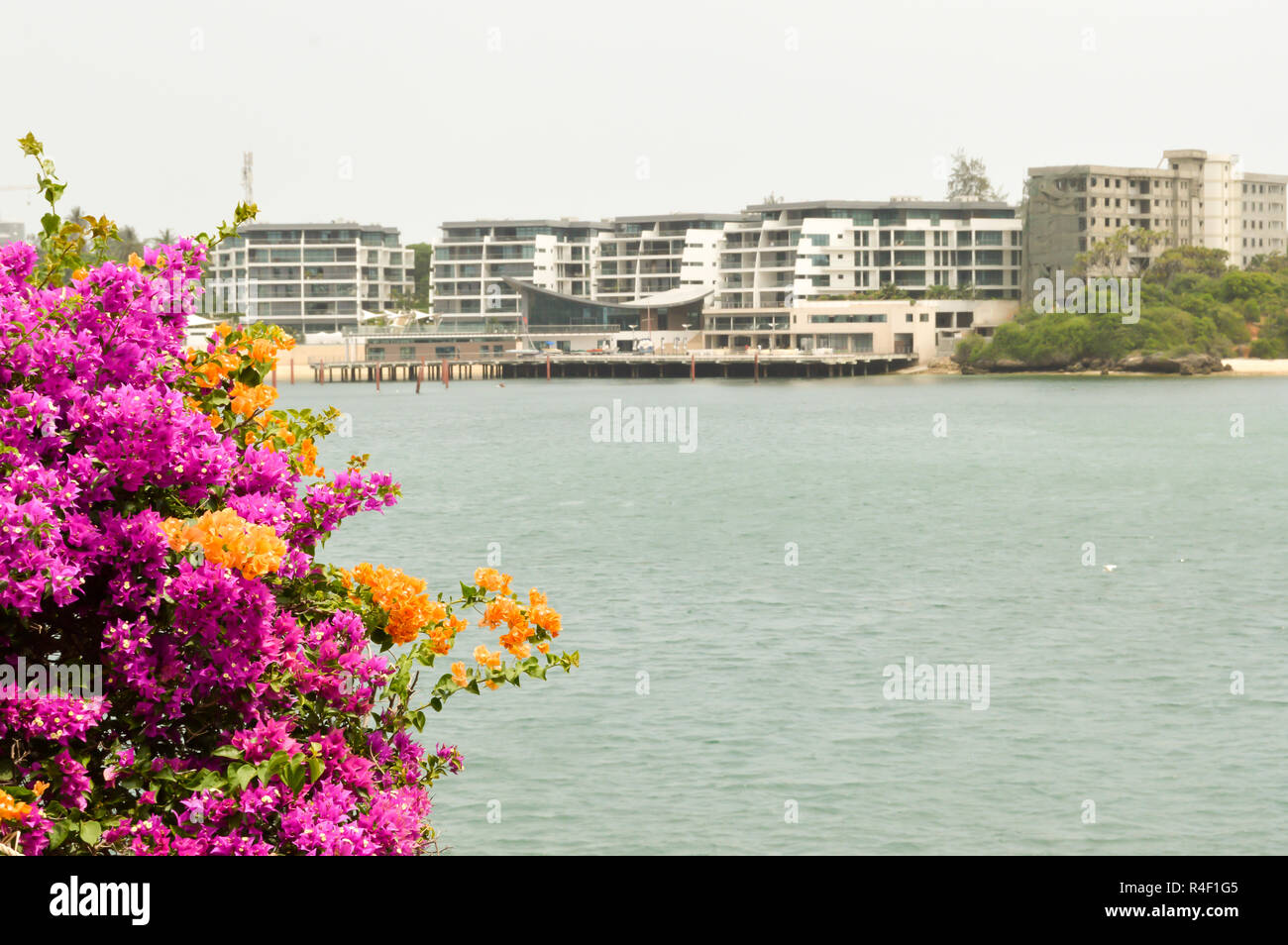 Downtown mombasa hi-res stock photography and images - Alamy