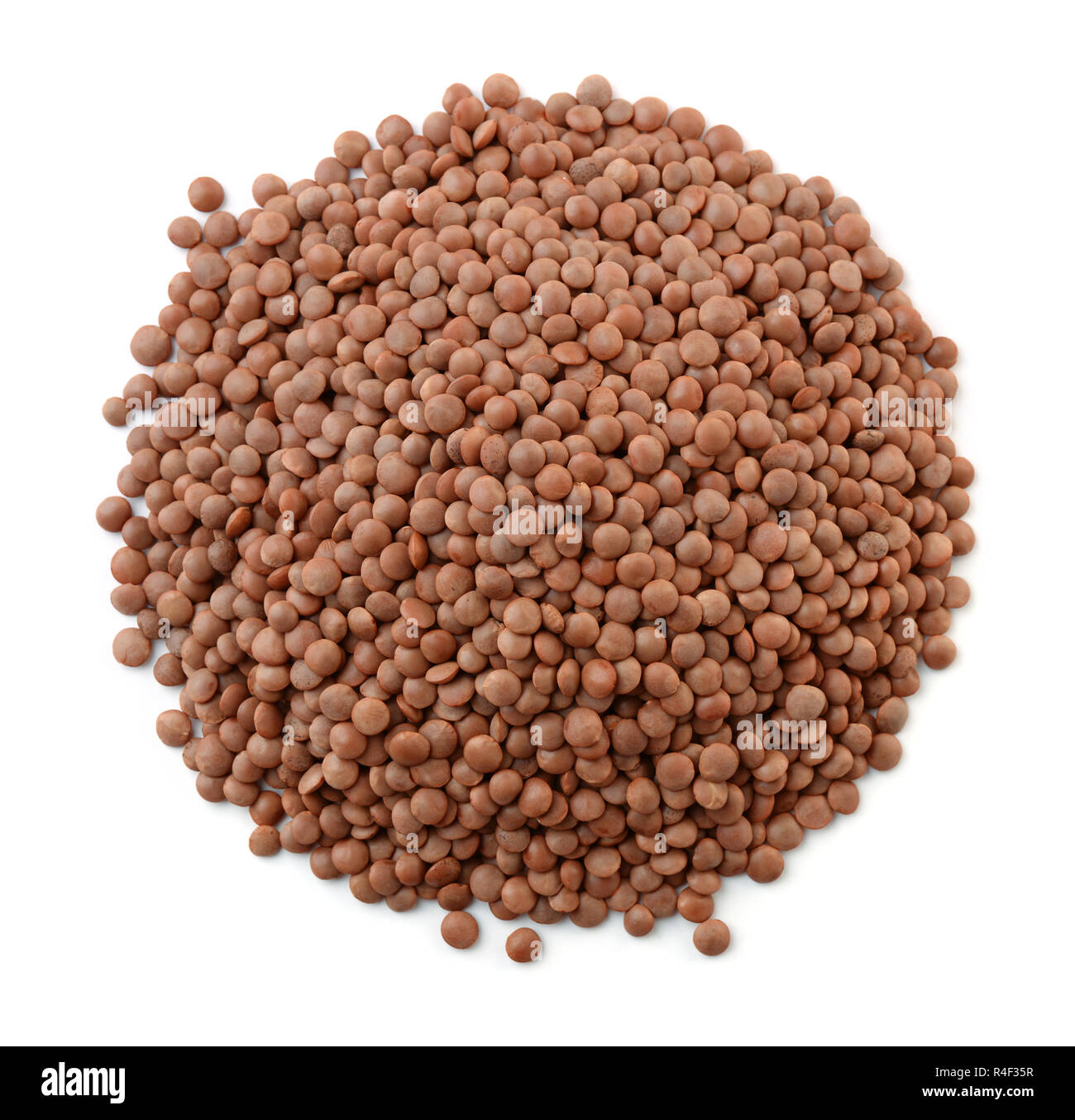Lentils plant hi-res stock photography and images - Alamy
