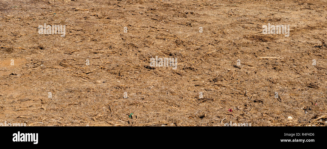 Closeup of farm soil Stock Photo - Alamy
