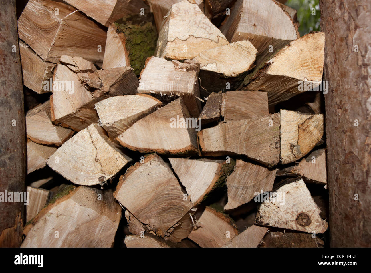 Burnt cracked wood texture hi-res stock photography and images - Alamy
