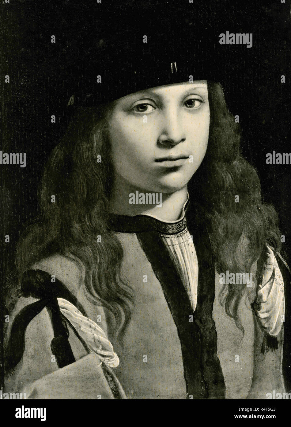 Portrait of a Boy, painting by Giovanni Antonio Boltraffio Stock Photo ...