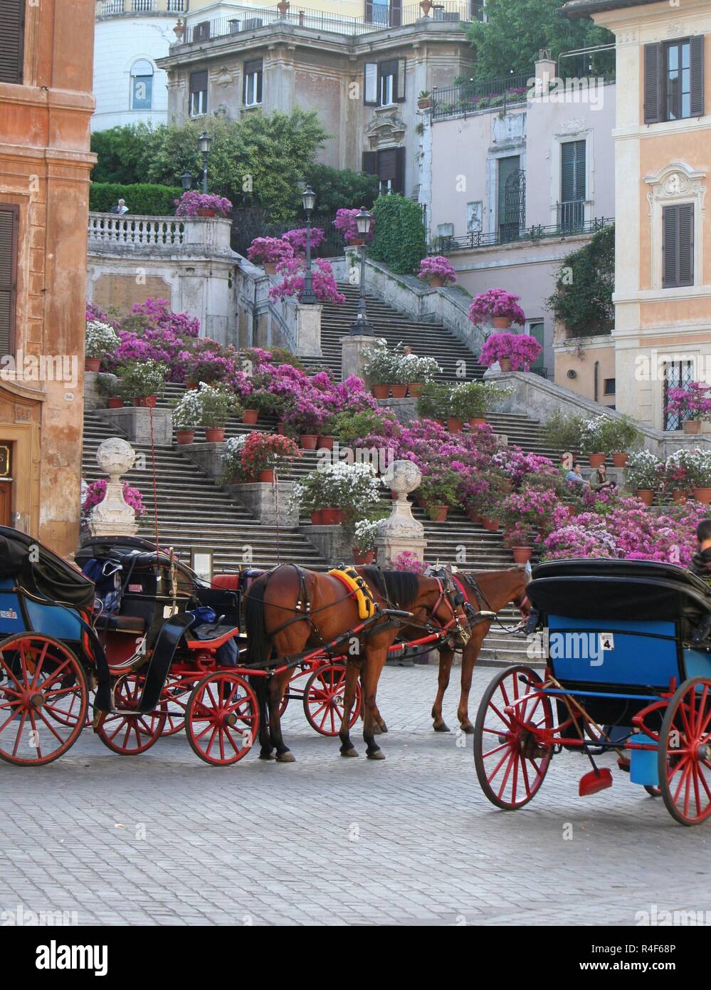 Spanish Steps Rome Italy Azaleas in Bloom romantic Stock Photo - Alamy