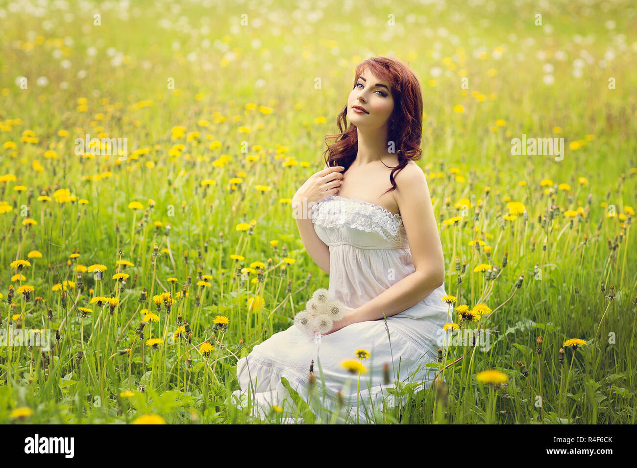 Beautiful Field Of Flowers