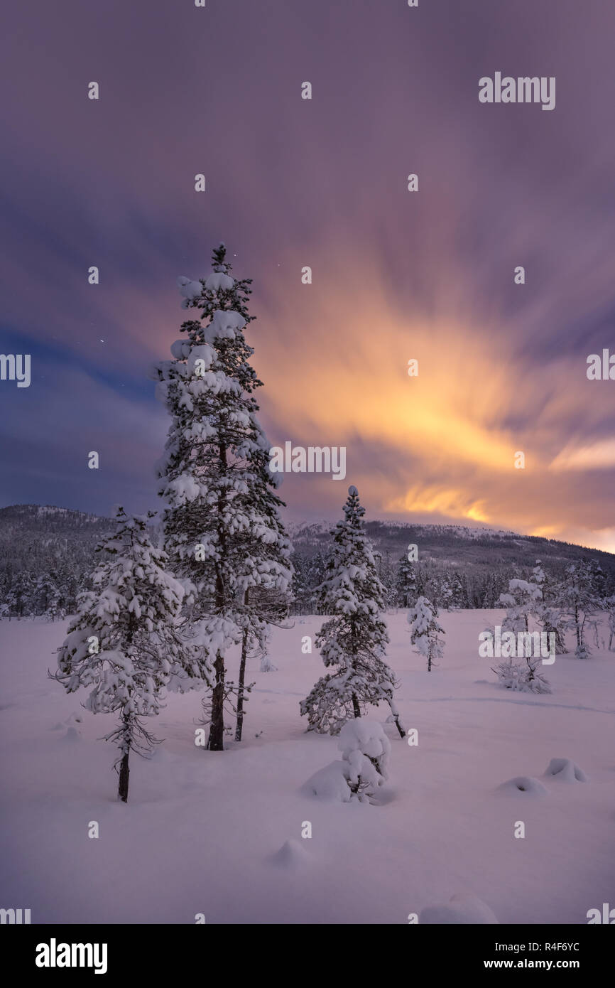 Night in the snowy forest. Norwegian wintertime. Amazing sky and full ...