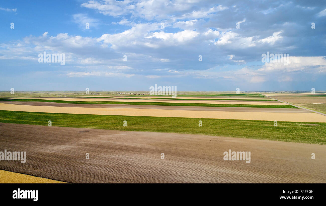 Nebraska corn fields hi-res stock photography and images - Alamy